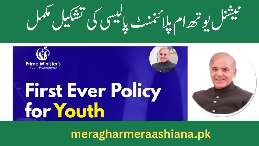 pmybals.pmyp.gov.pk Prime Minister PM Youth Loan Scheme 2025 Online ...